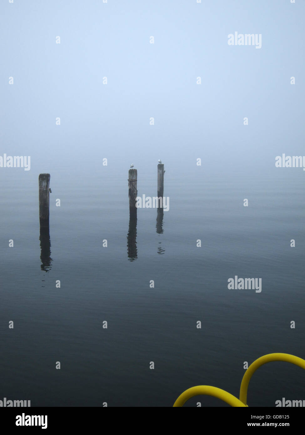 fog on water Stock Photo - Alamy