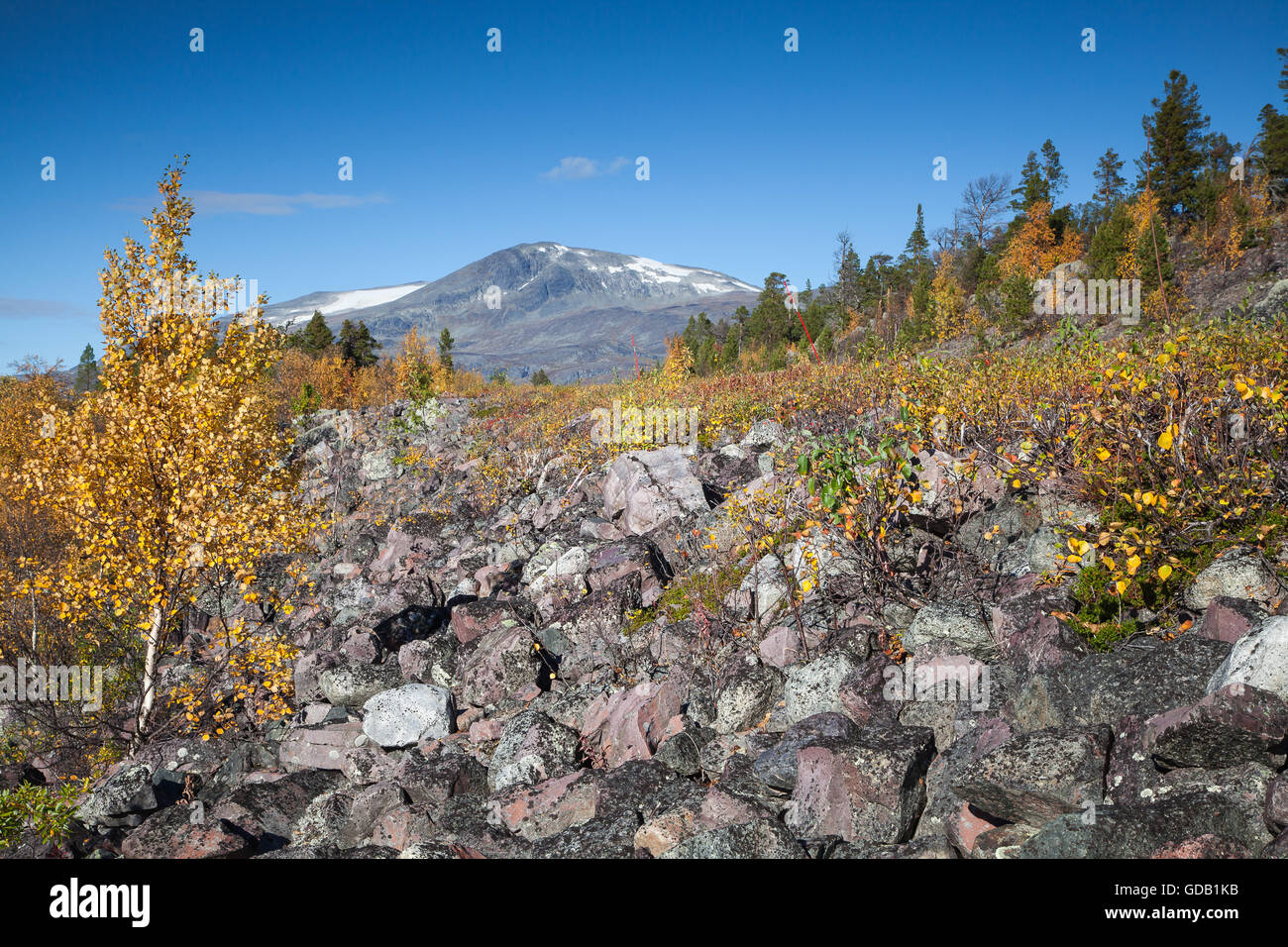 Trees,Europe,rock,cliff,autumn,autumn colors,scenery,landscape,Lapland ...
