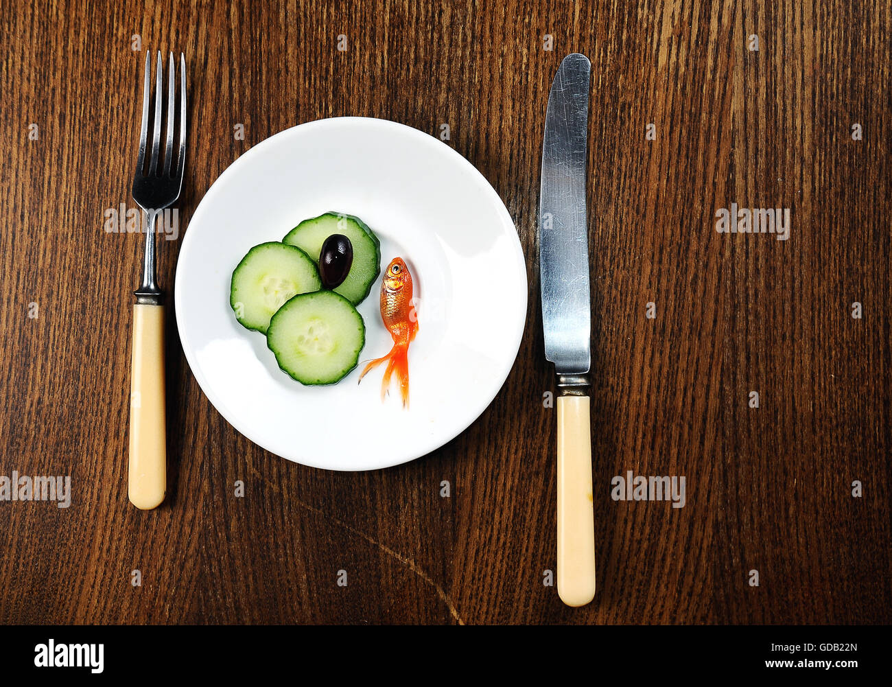 Goldfish on dinner plate hi-res stock photography and images - Alamy