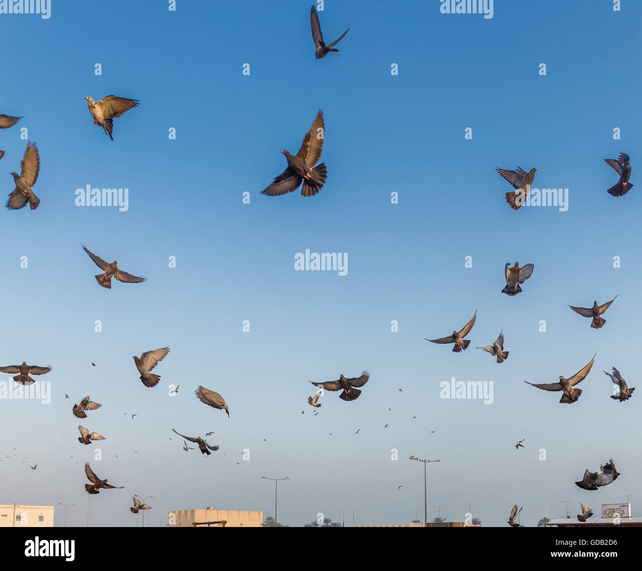 Souq Waif and Qatar Islamic Cultural Center (FANAR Stock Photo - Alamy