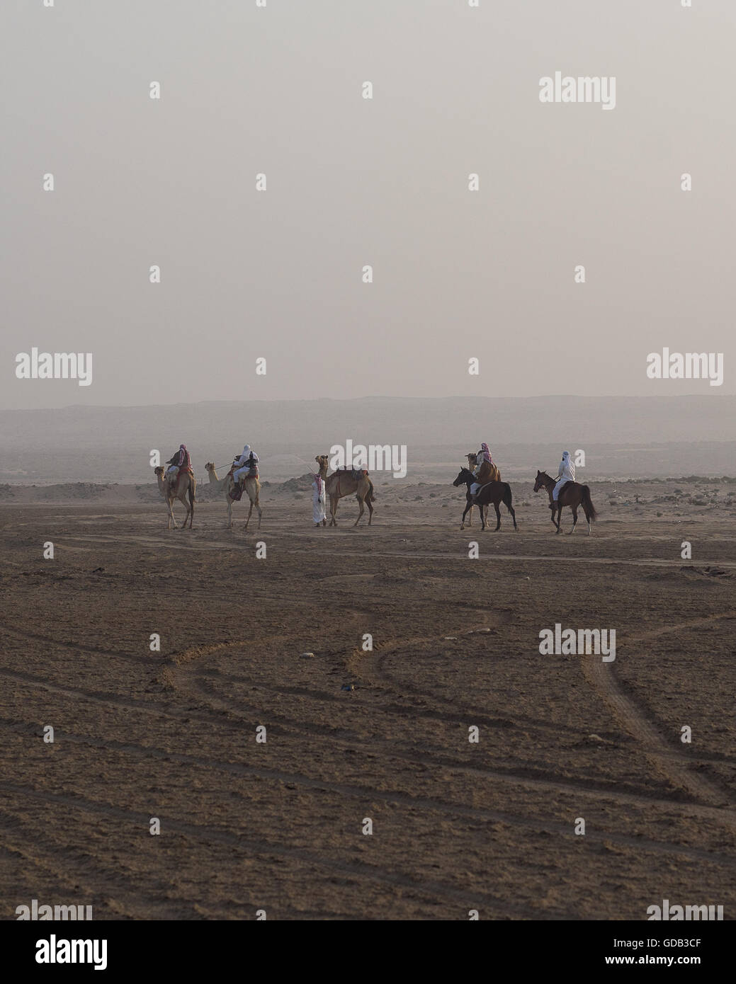 An Arab hunting party sets out at dawn during the Al Galayel Hunting ...