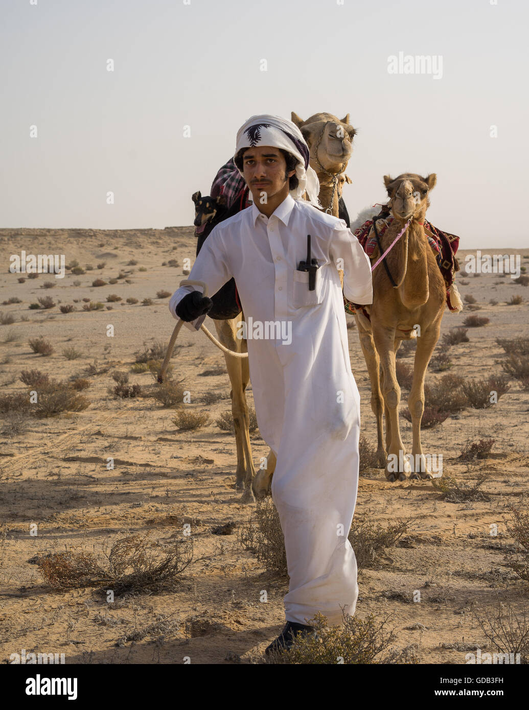 Traditional hunting techniques hi-res stock photography and images - Alamy