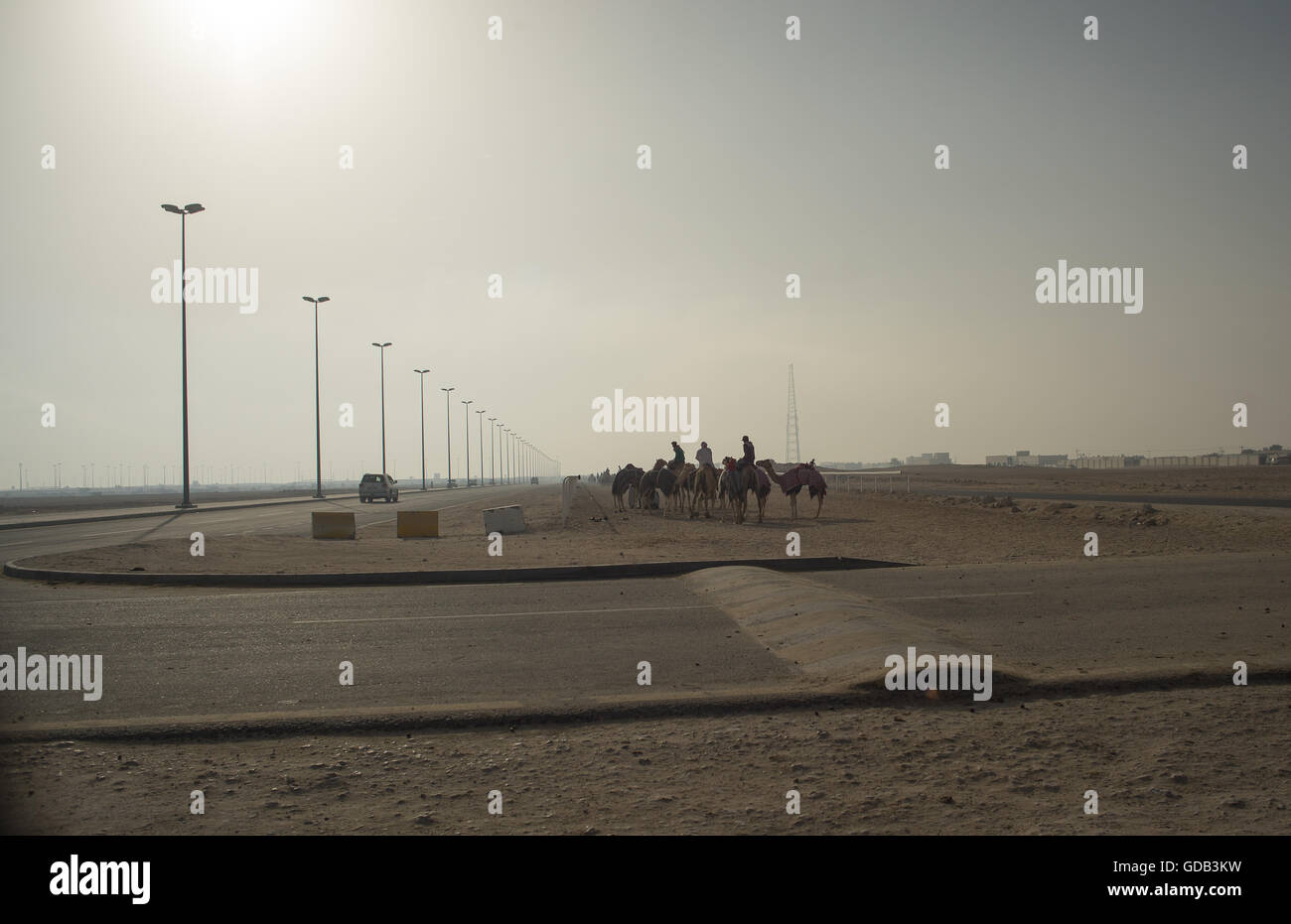 Camel racing qatar hi-res stock photography and images - Alamy