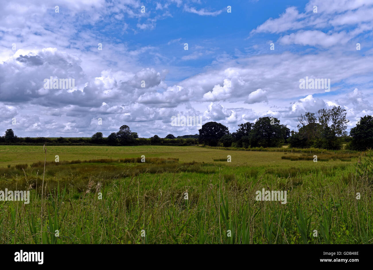 View across the open fields of Norfolk countryside, under a cloudy sky ...