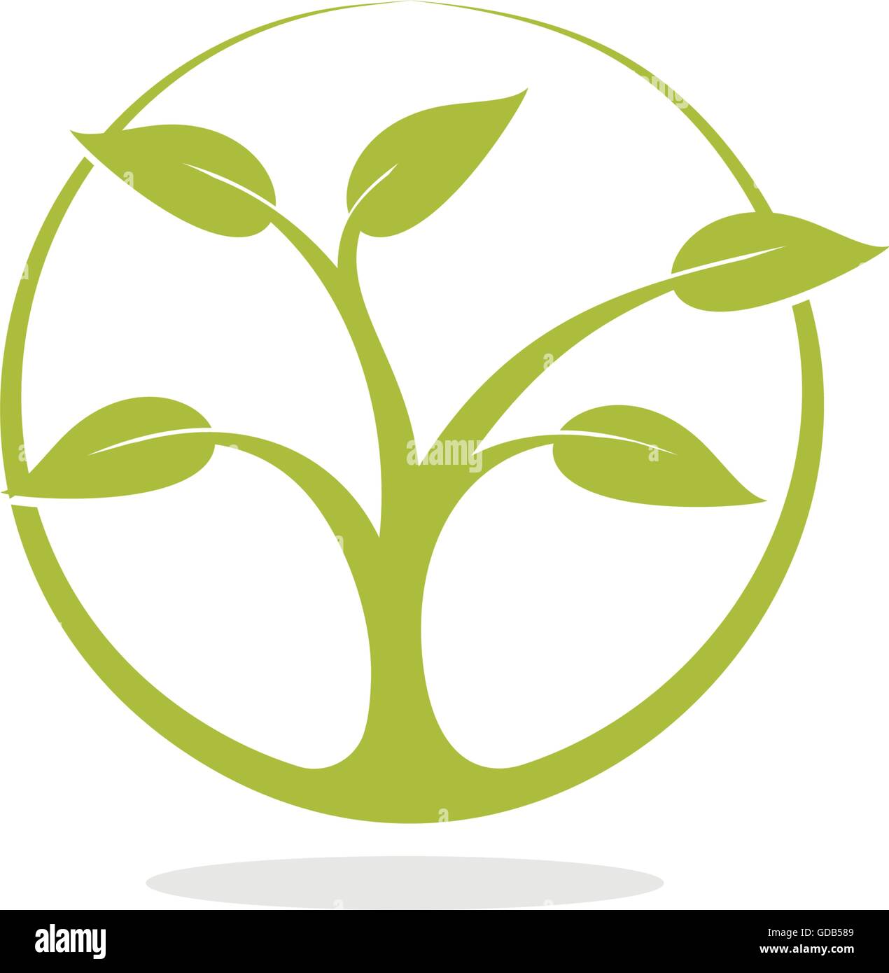 Deciduous tree vector illustration. Tree vector logo. Tree vector icon ...