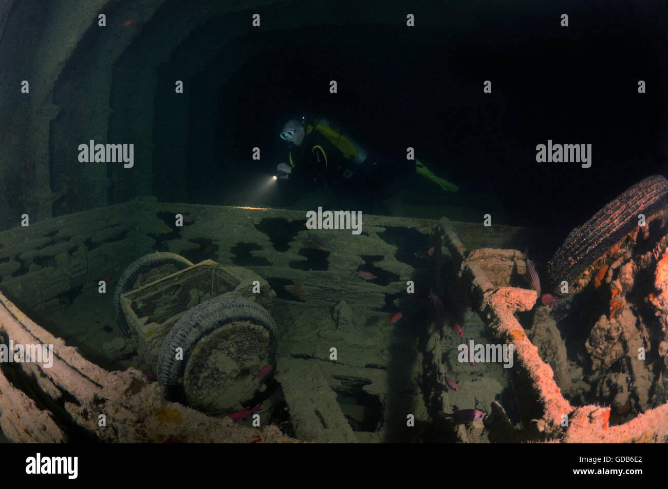 Male scuba diver at field kitchen inside the wreck of the SS ...