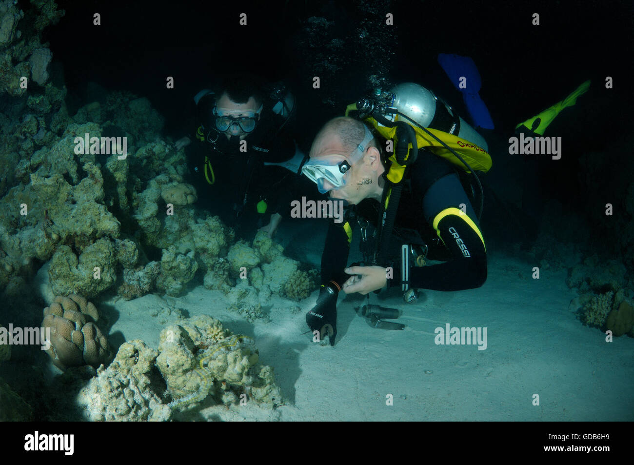 Scuba diving at night hi-res stock photography and images - Alamy