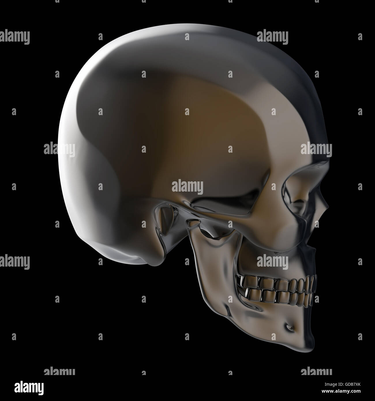 dark shiny polished metal skull render isolated on black background s ...