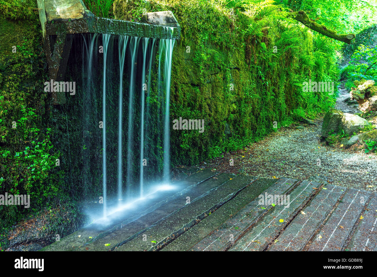 Cornwall wildlife trust reserve hi-res stock photography and images - Alamy