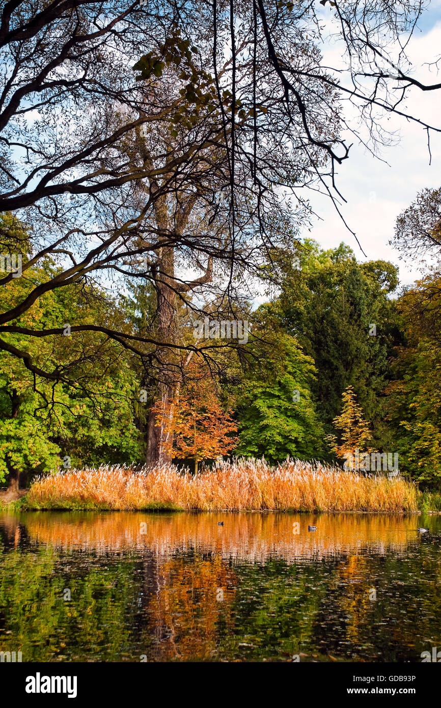 Fall water reflections hi-res stock photography and images - Alamy