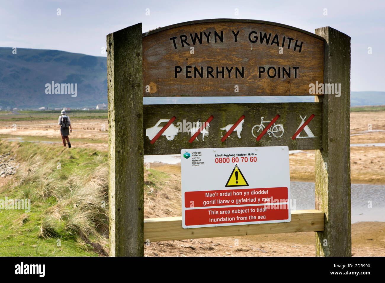 UK, Wales, Gwynedd, Fairbourne dunes, Penrhyn Point walker at tidal ...