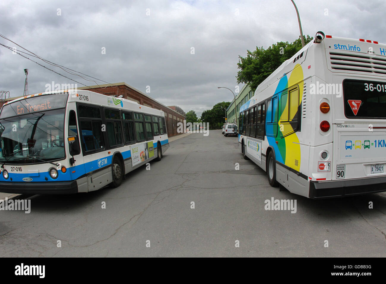 STM buses parked on the Plateau in Montreal, Que., June 8, 2016. THE ...