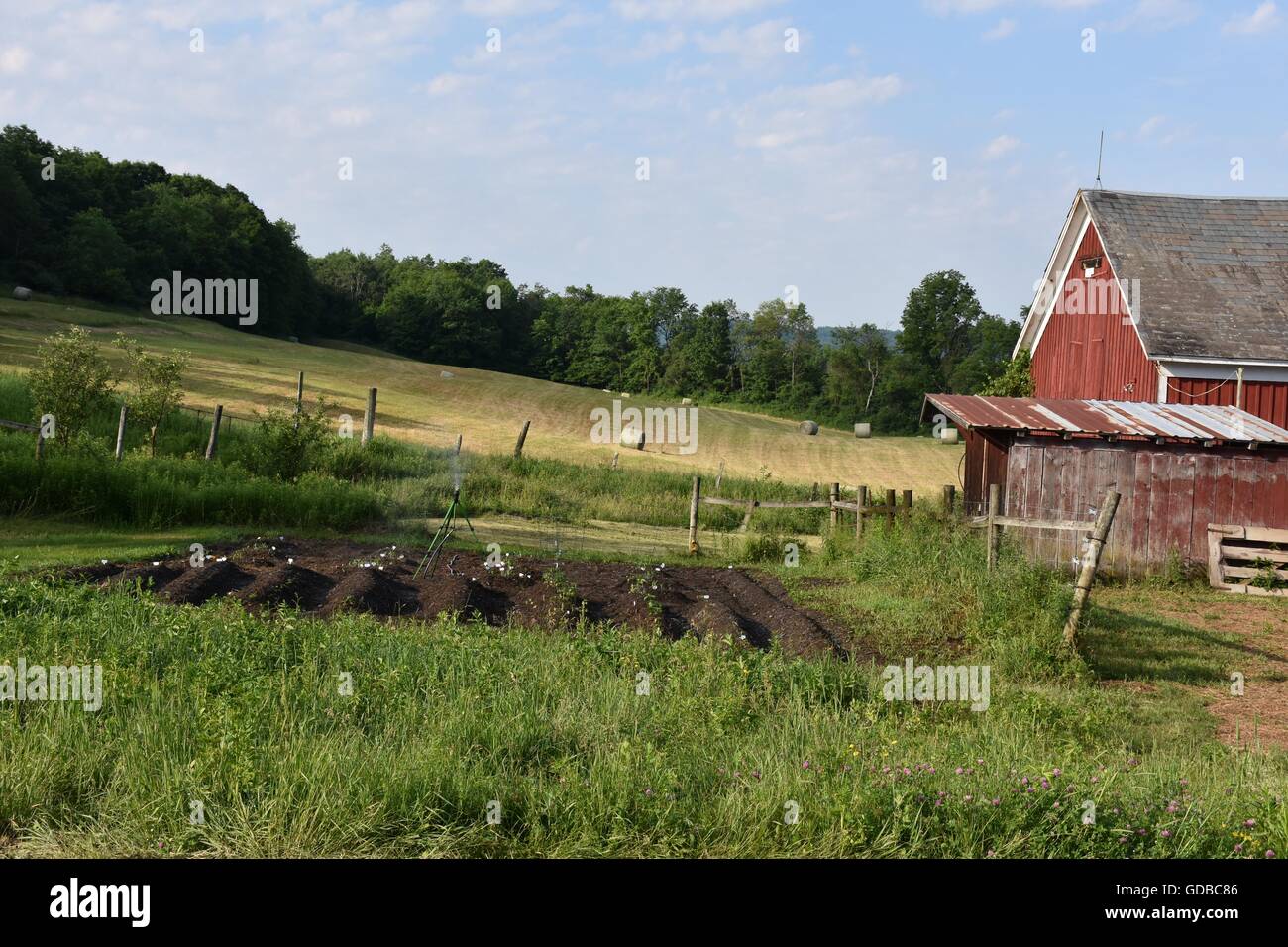 Garden, Pasture, and Barn Stock Photo - Alamy