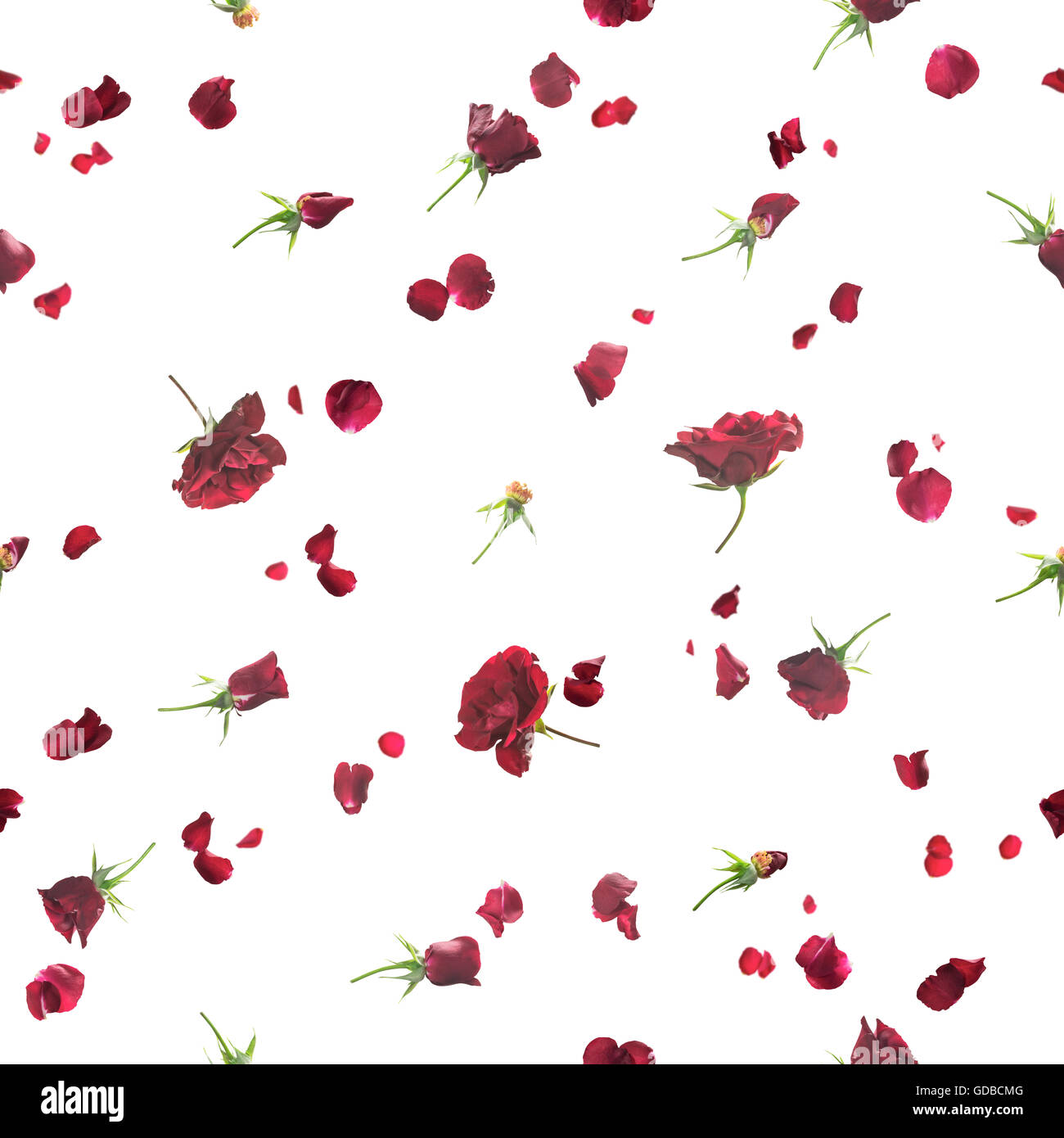 Repeatable background of fading, flying roses and petals in dark red ...