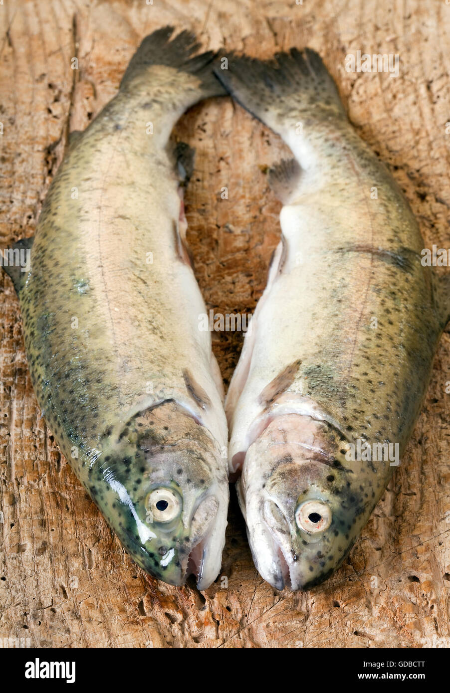 Two nice trout fish ready for preparation Stock Photo - Alamy