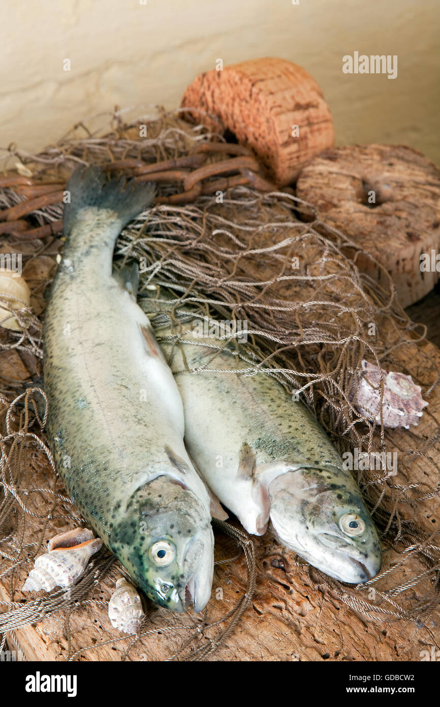 Dead fish net hi-res stock photography and images - Alamy