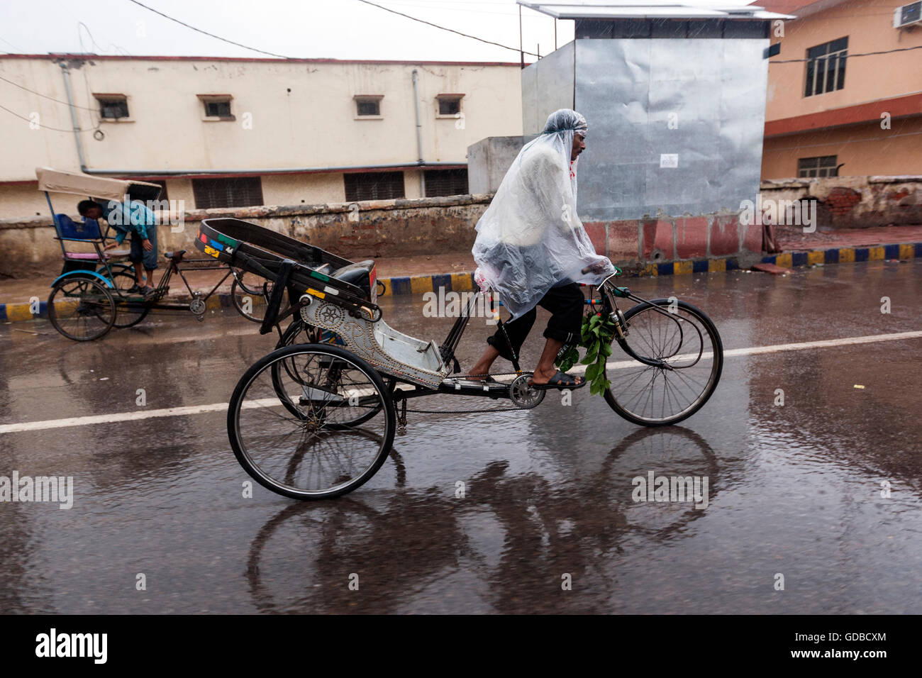 Cycle rickshaw driver under a heavy rain in Agra, Uttar Pradesh, India ...