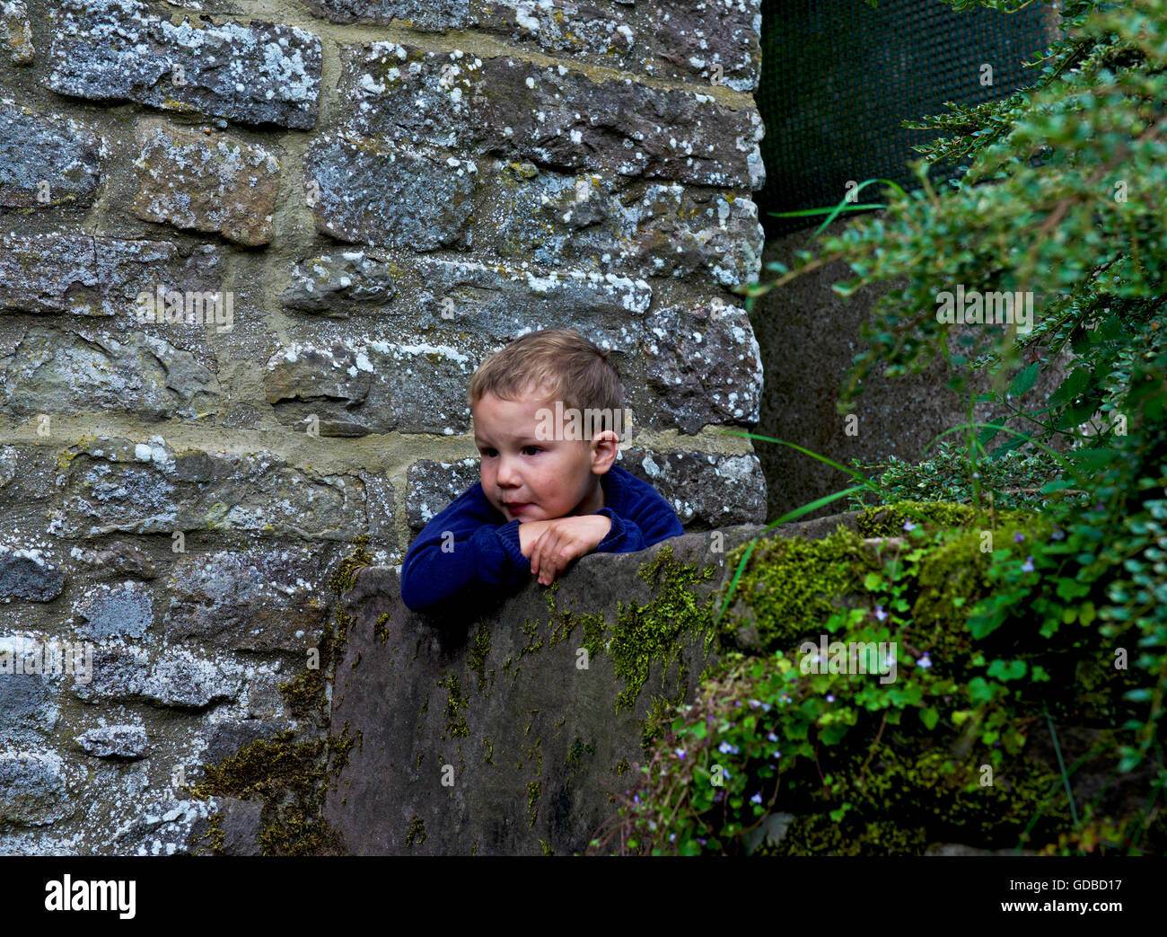 Boy looking over a wall hi-res stock photography and images - Alamy