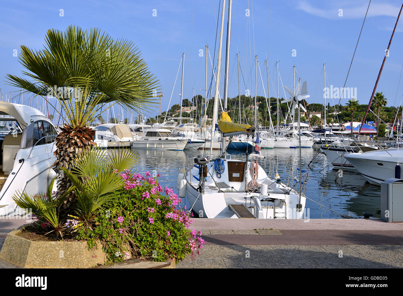Port of Cavalaire-sur-Mer in France Stock Photo - Alamy