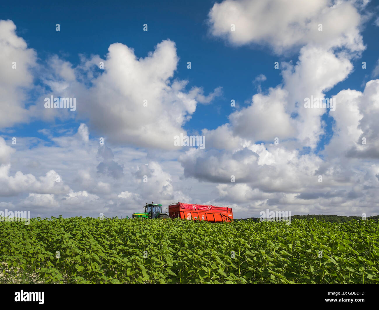 Tractor and trailer on skyline of farm field - France Stock Photo - Alamy
