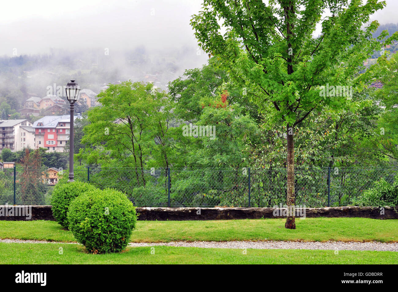 Trees in the park Stock Photo - Alamy