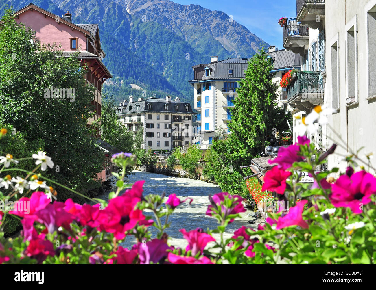 Chamonix summer flowers hi-res stock photography and images - Alamy