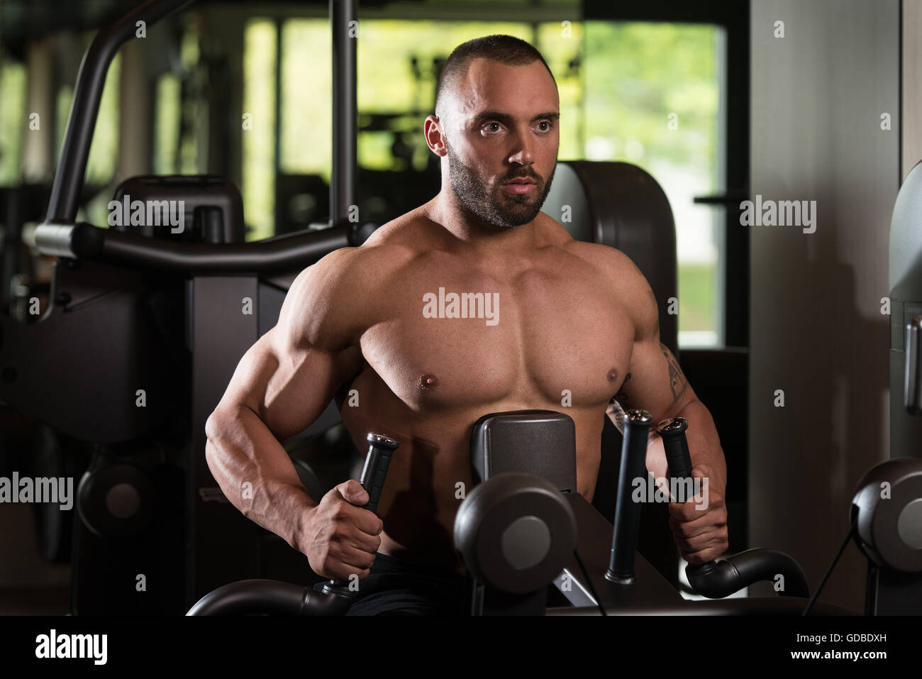 Big Man In The Gym And Exercising Back On Machine - Muscular Athletic ...