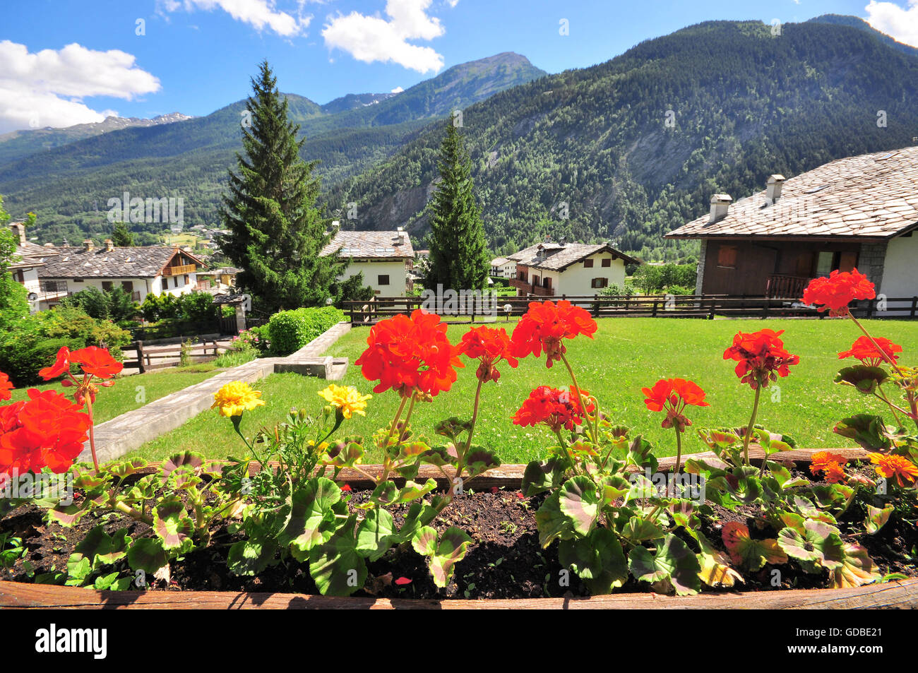 Flowers in italian village, Val d'Aosta Stock Photo - Alamy