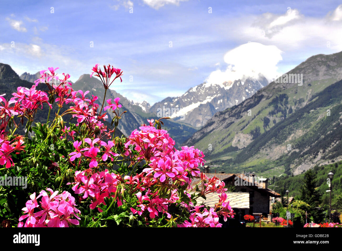 Flowers and mountains, Italy Stock Photo - Alamy