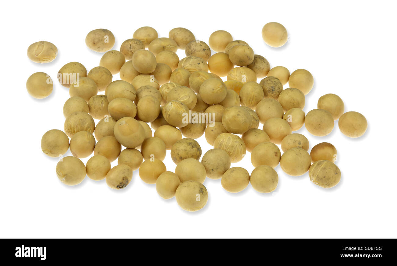 Pile of yellow soybeans isolated on white background Stock Photo - Alamy