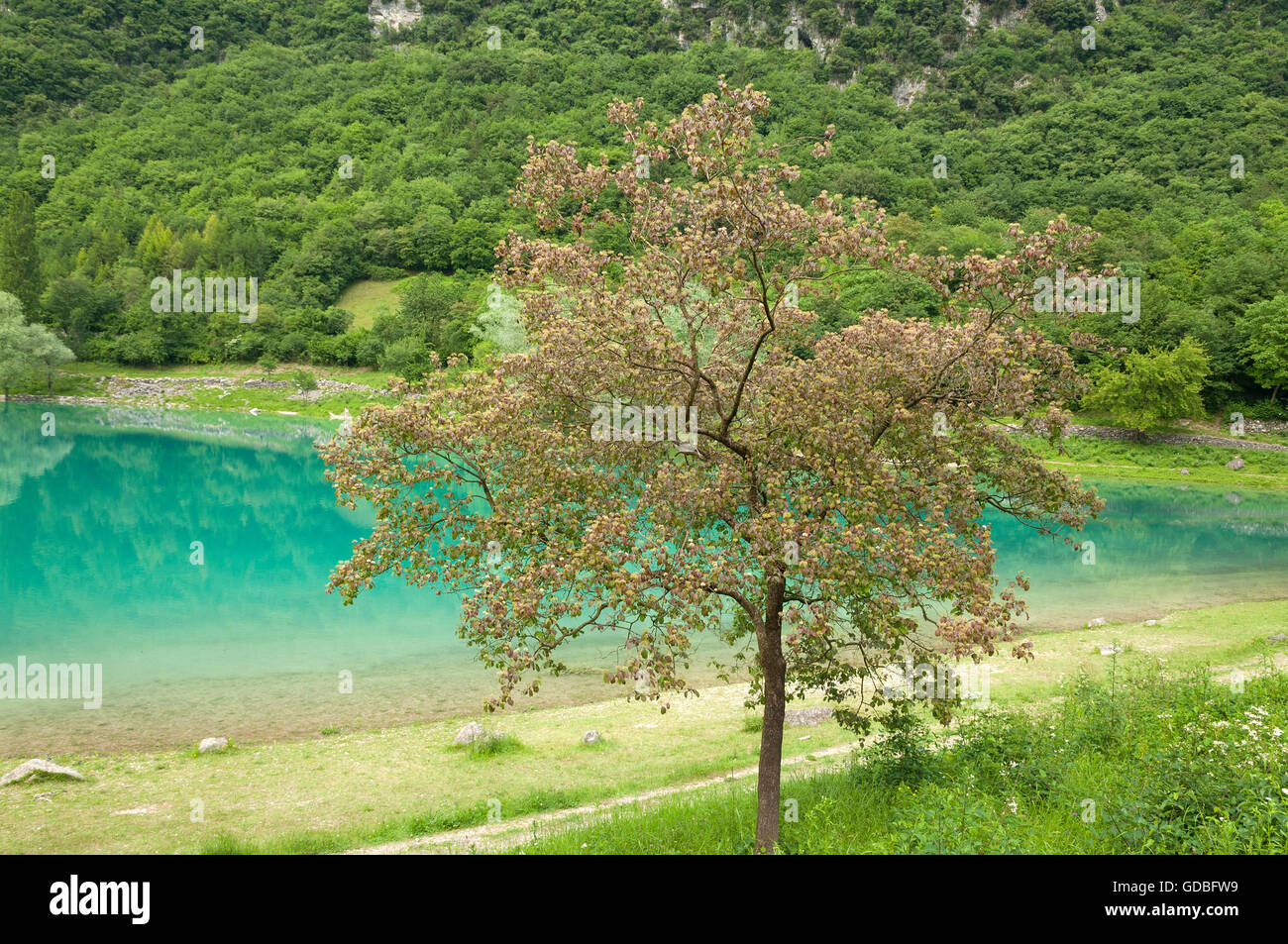 Lake tenno hi-res stock photography and images - Alamy