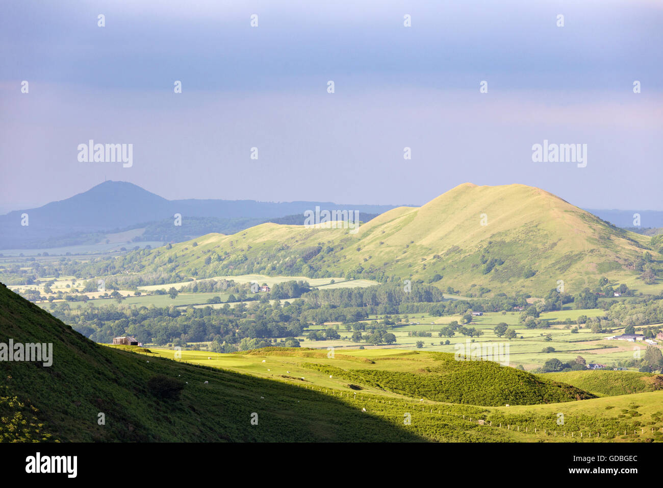 The Lawley from the Long Mynd and the distant, Wrekin Hill, Shropshire ...
