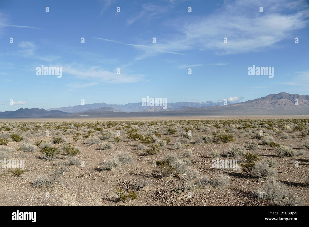 Tussocks grasses hi-res stock photography and images - Alamy