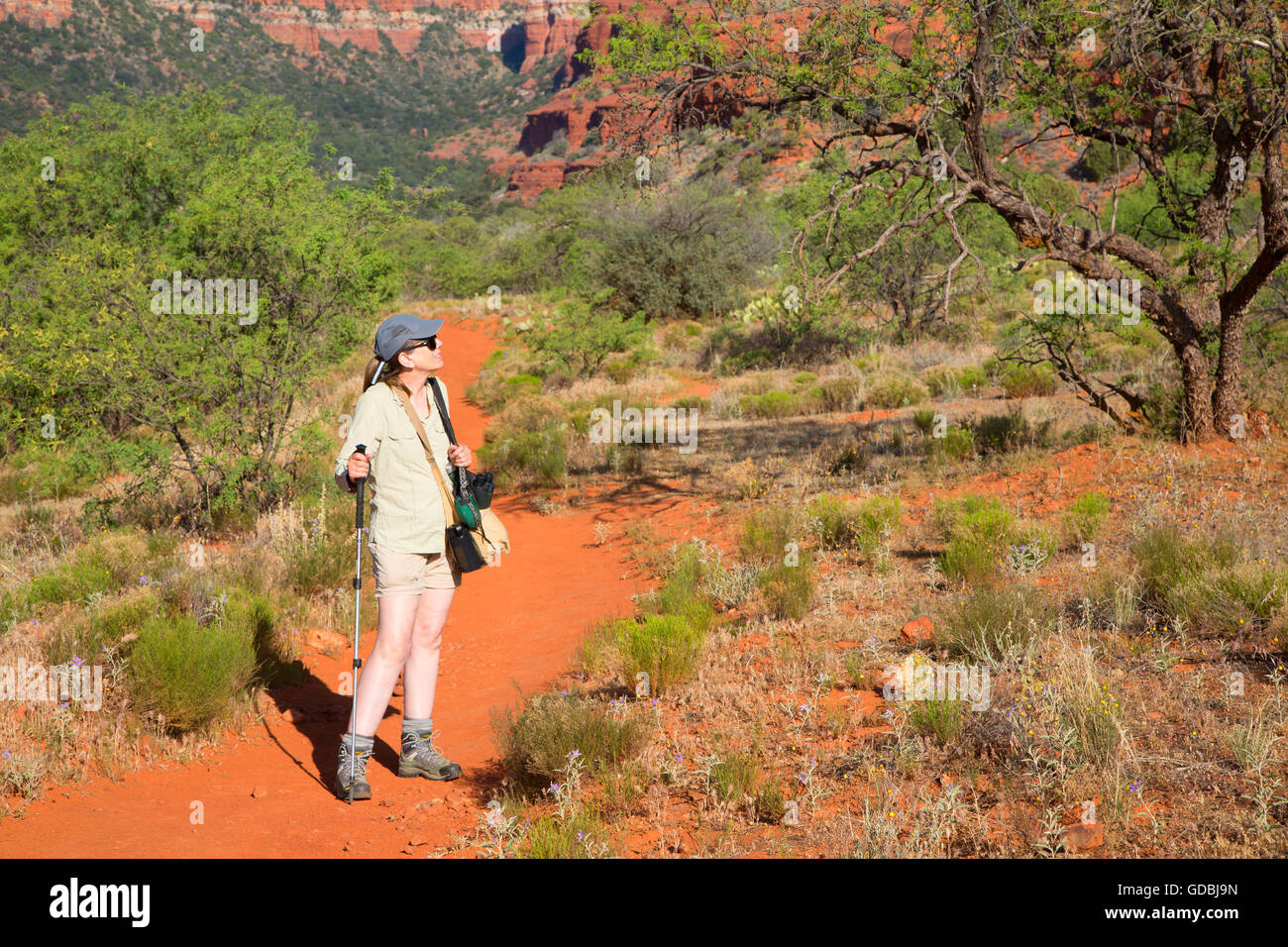 Courthouse Butte Loop Trail, Red Rock Scenic Byway, Coconino National ...