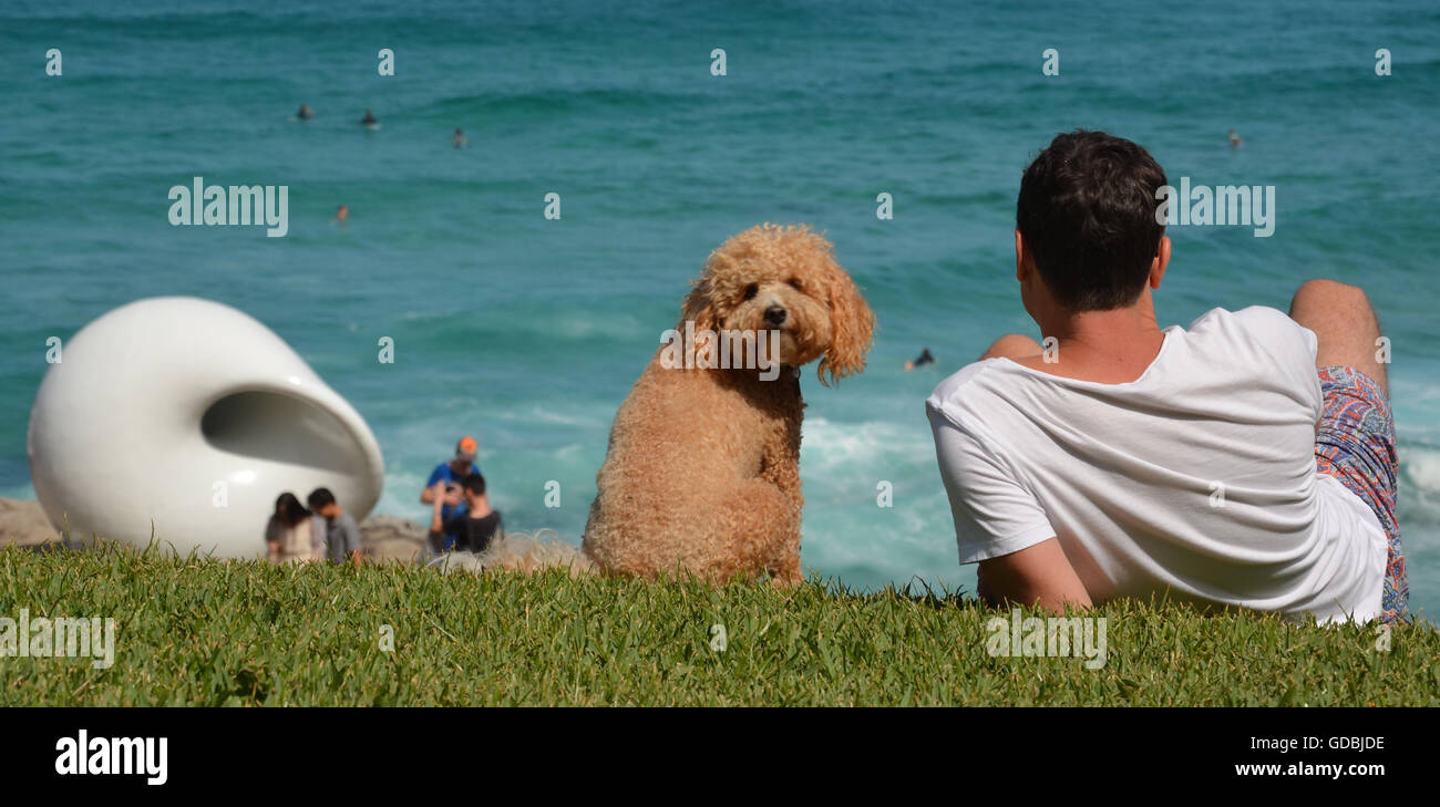 Sydney, Australia - Oct 25, 2015. A man, a dog and a sculpture ...