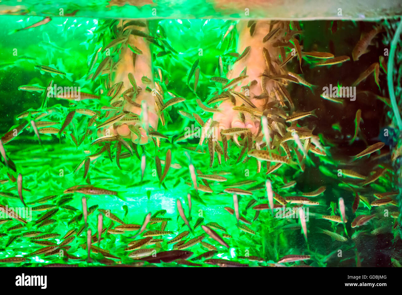 Fish Pedicures and Fish Spas, Bangkok, Thailand Stock Photo - Alamy