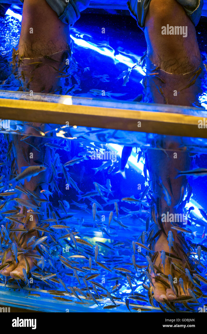 Skin Eating Fish For Tanks