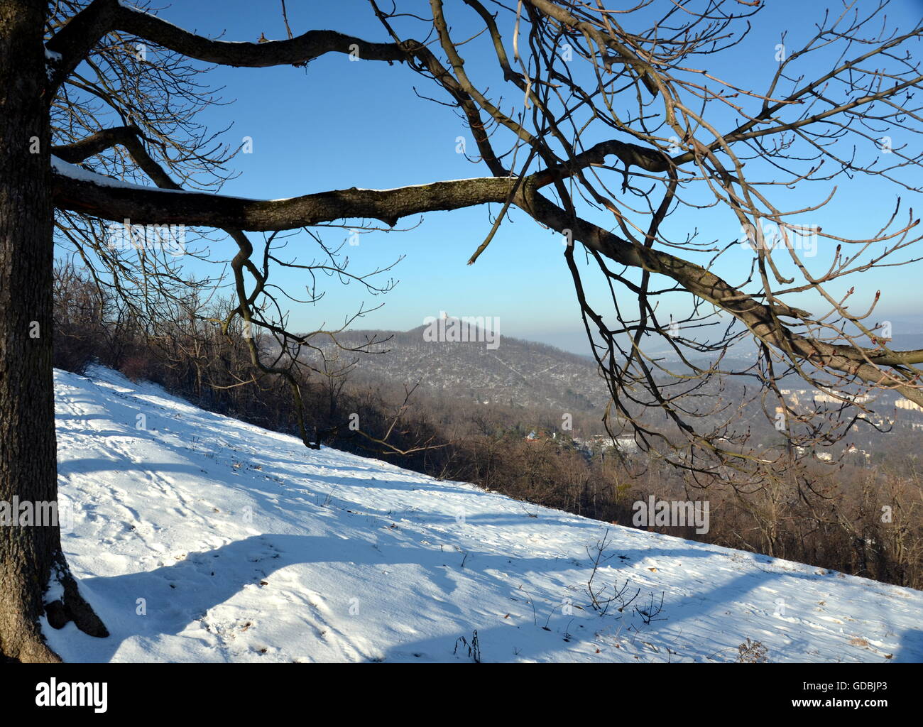 Normafa park hi-res stock photography and images - Alamy