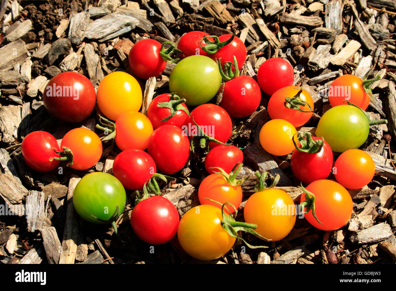 Fresh fruit vegetable outside hi-res stock photography and images - Alamy
