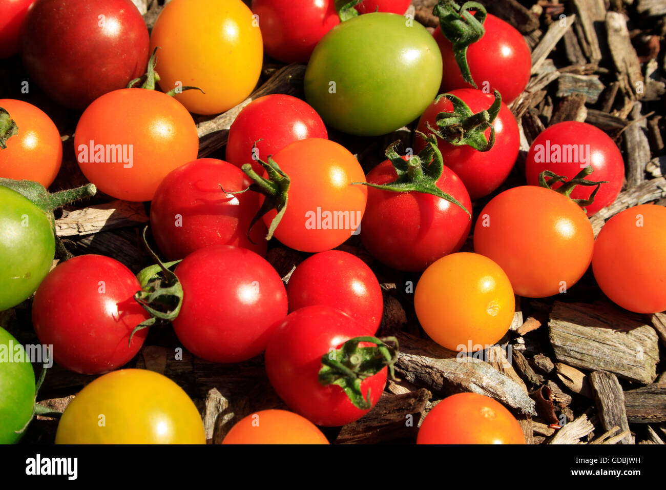 Fresh fruit vegetable outside hi-res stock photography and images - Alamy