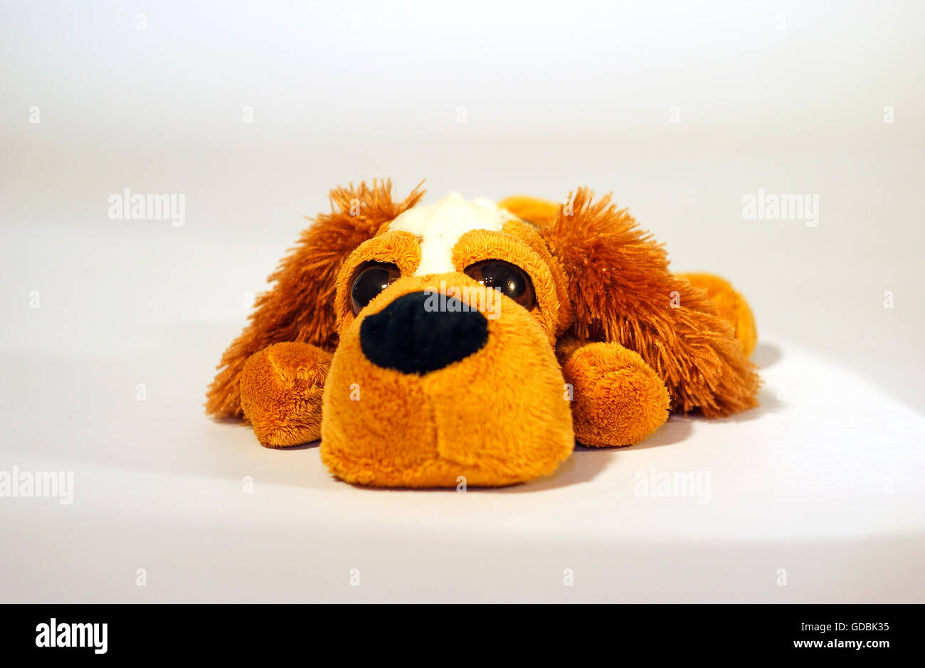 A nice little plush doggy with sad eyes Stock Photo - Alamy