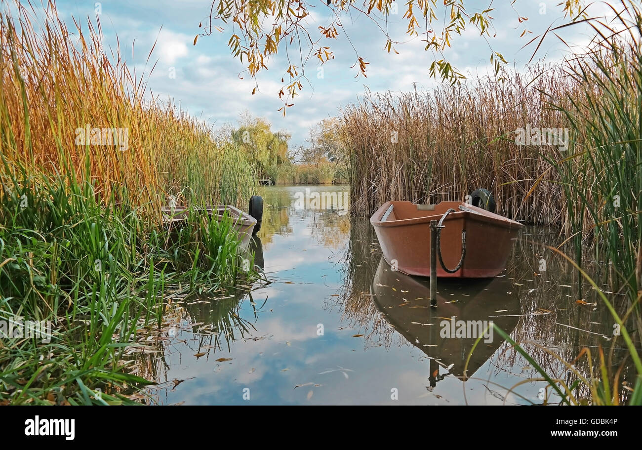 Riverside reeds hi-res stock photography and images - Alamy