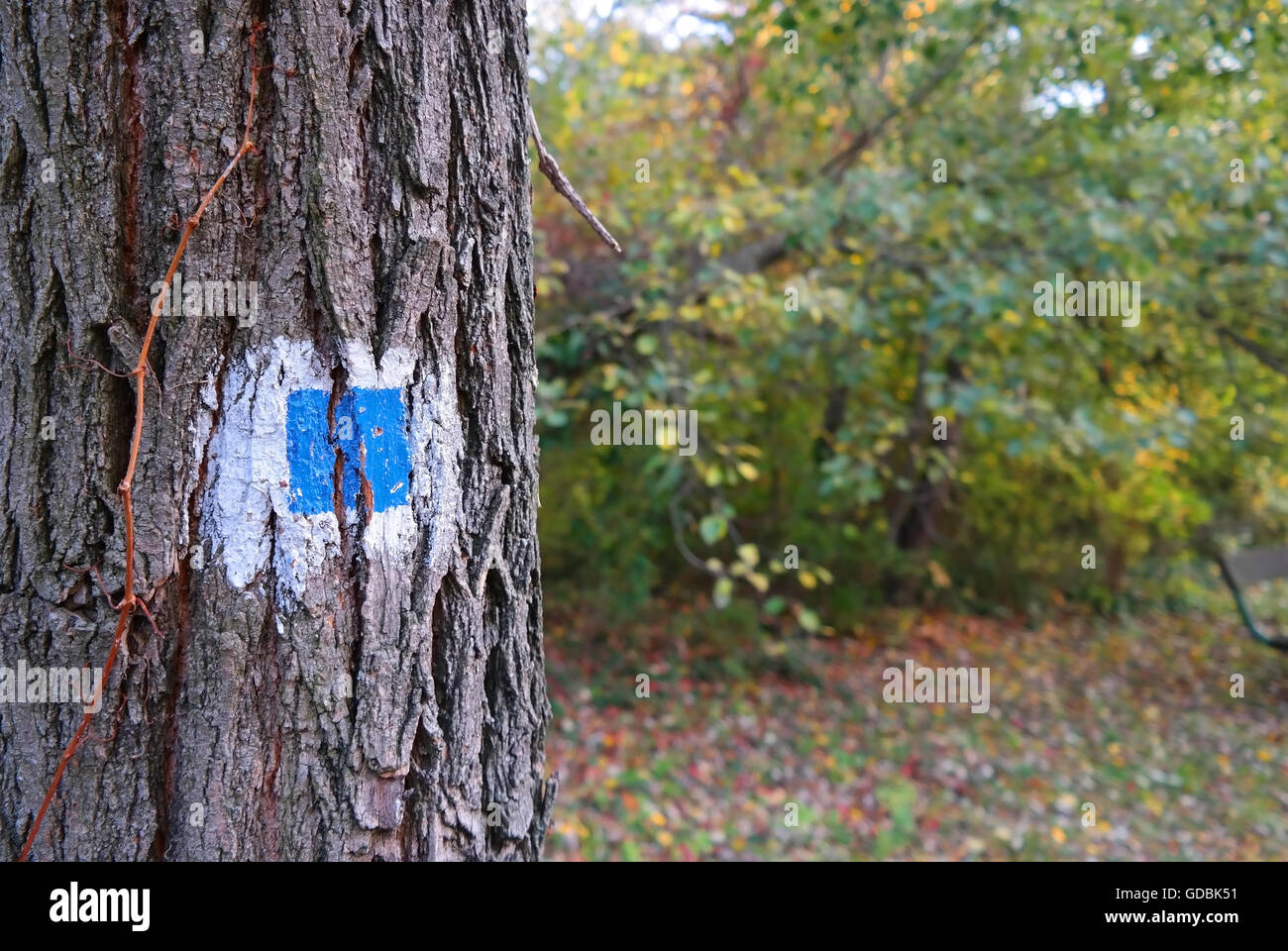 Walking track marking hi-res stock photography and images - Alamy