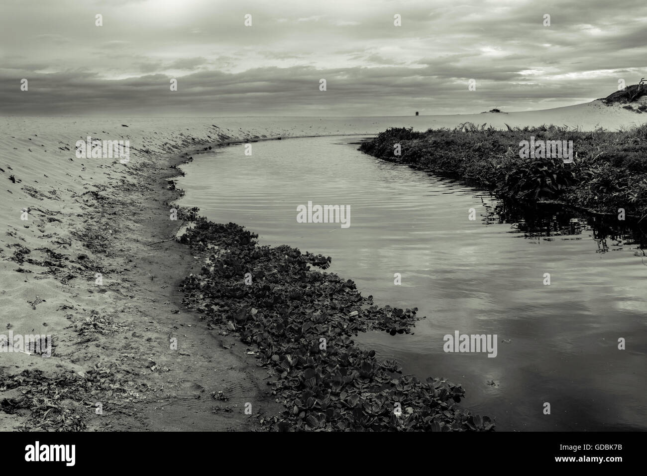 Small river leading into the Indian Ocean, Amanzimtoti, South Africa ...