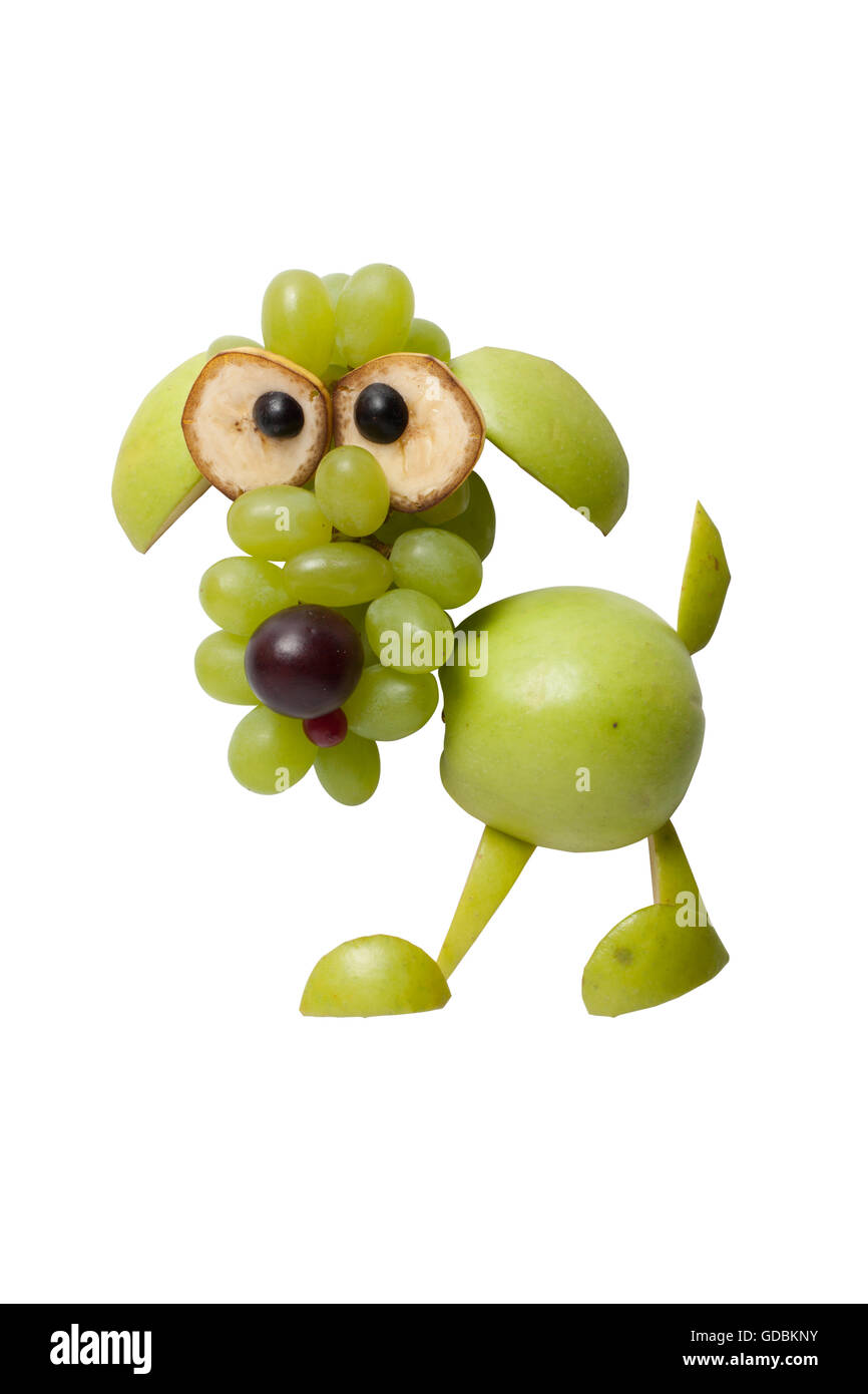 Creative pet and fruit hi-res stock photography and images - Alamy