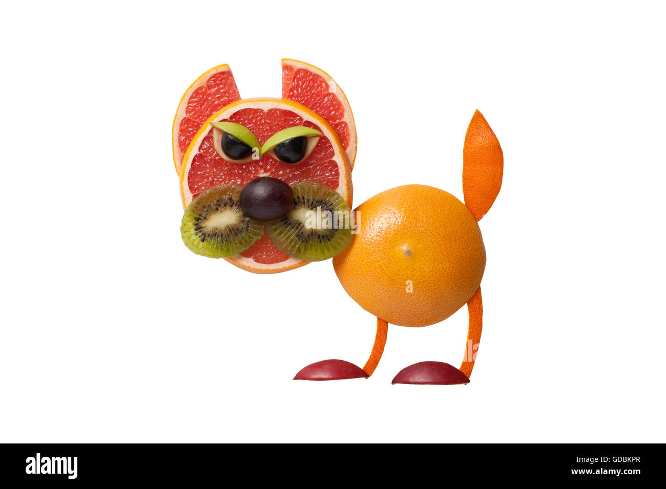 Angry cat made of orange and grapefruit on isolated background Stock ...