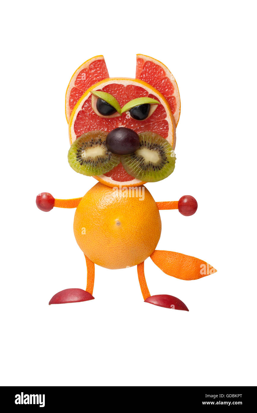 Angry cat made of fruits on isolated background Stock Photo - Alamy