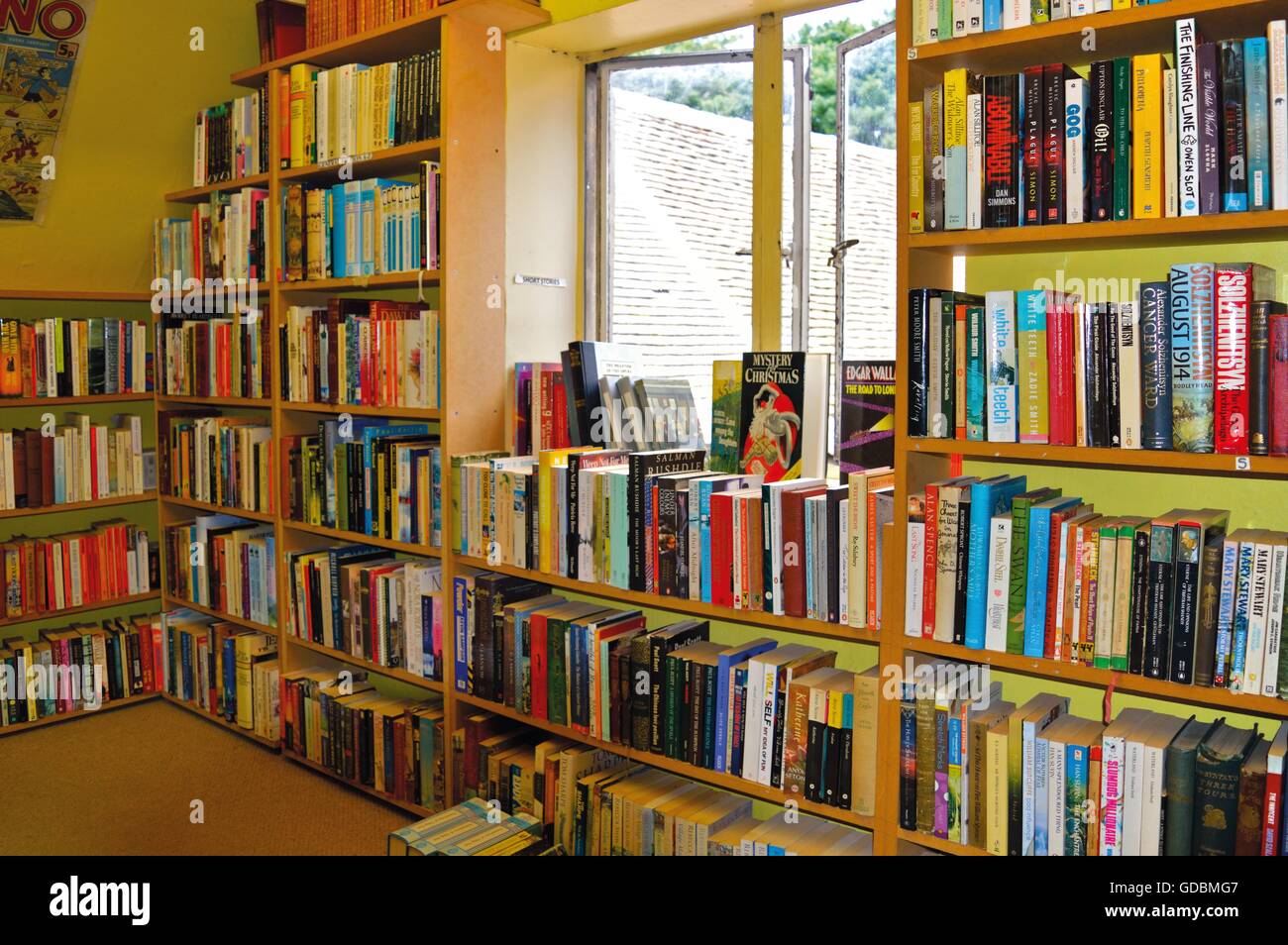 Lots of Books, Books on the Shelfs, Bookstore Stock Photo - Alamy