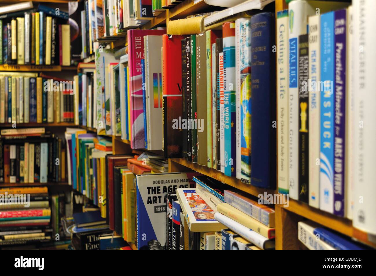 Lots of Books, Books on the Shelfs, Bookstore Stock Photo - Alamy