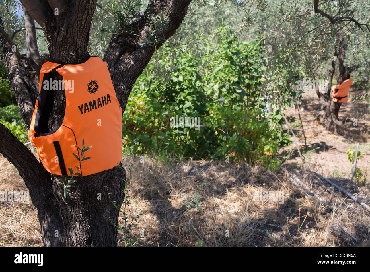 Quality Life Jackets High Resolution Stock Photography and Images - Alamy
